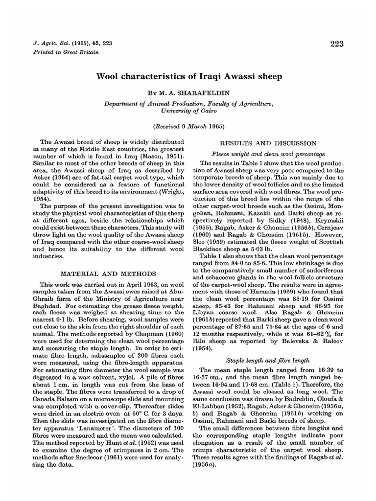 Awassi Wool PDF | PDF | Wool | Sheep