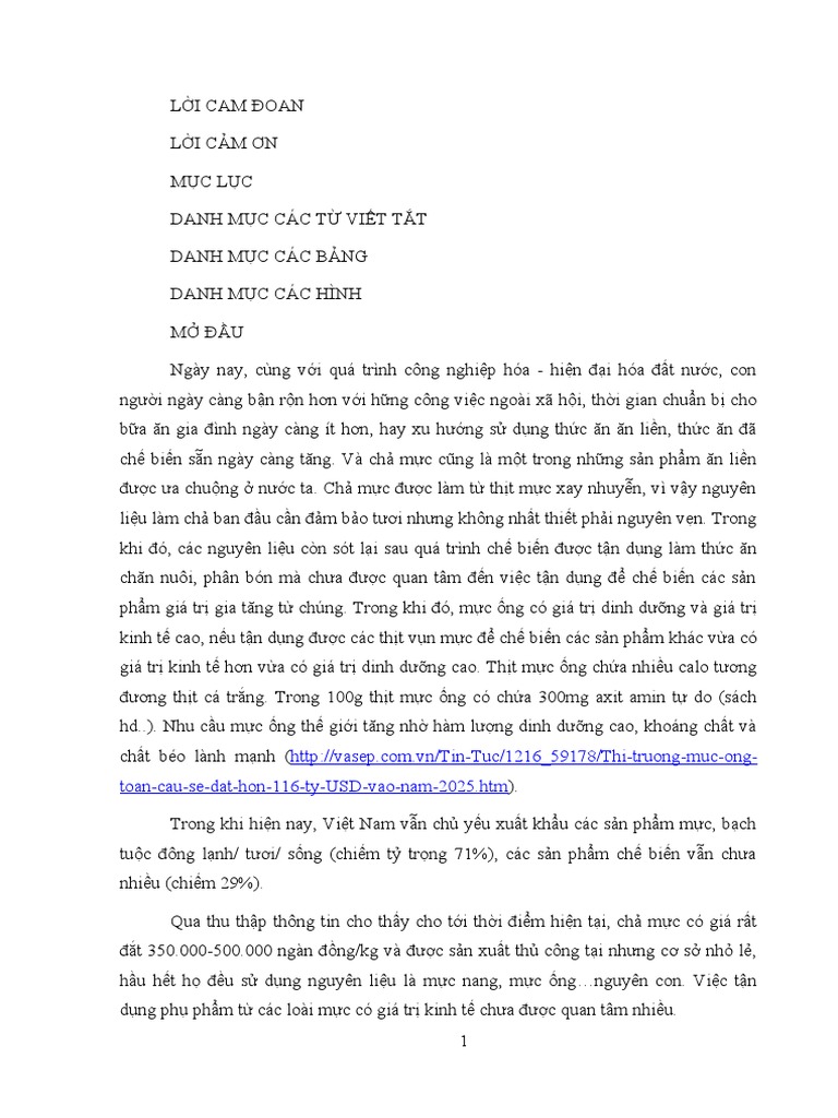 CDTN.LAN 2.docx | PDF