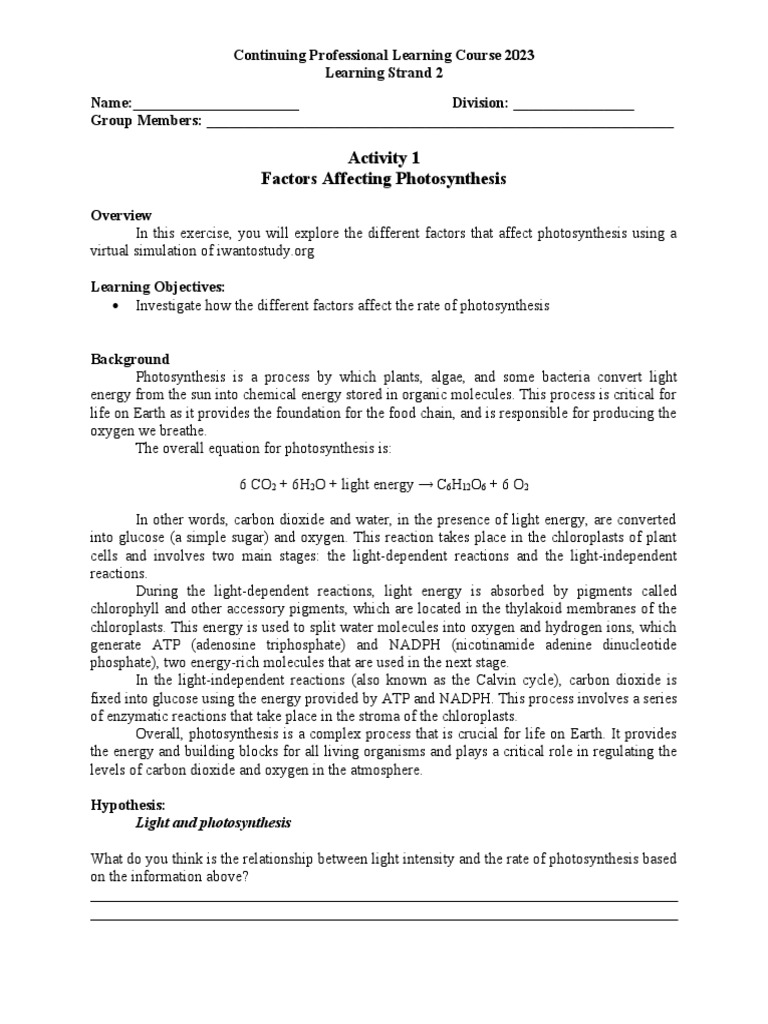 Photosynthesis Activity Sheet | PDF