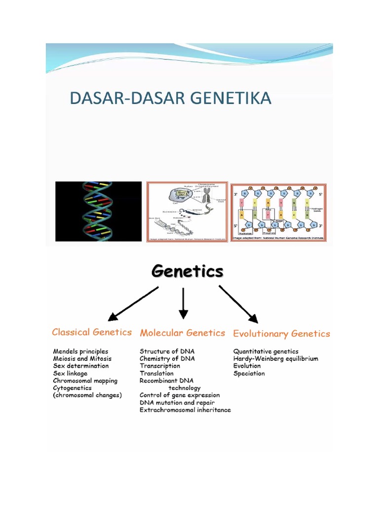 Genetika | PDF