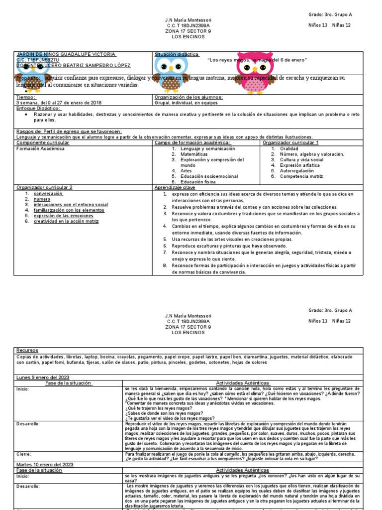 Proyecto Enero Pdf Educación De La Primera Infancia