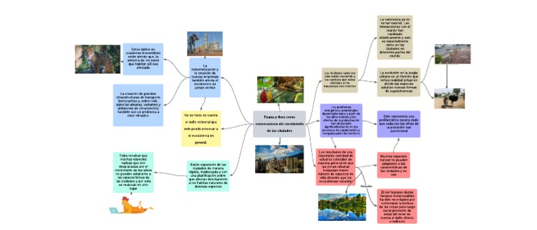 Mapa Conceptual de La Flora y Fauna Por El Crecimiento de Ciudades | PDF