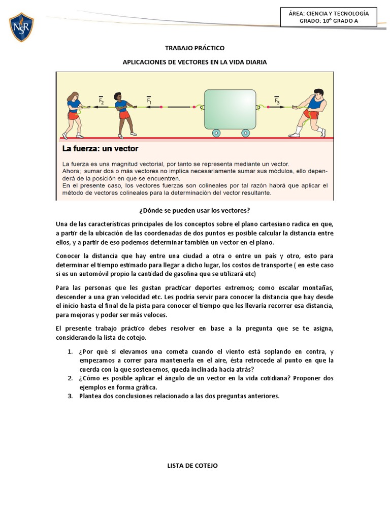 TRABAJO PRÁCTICO-vectores.docx | PDF