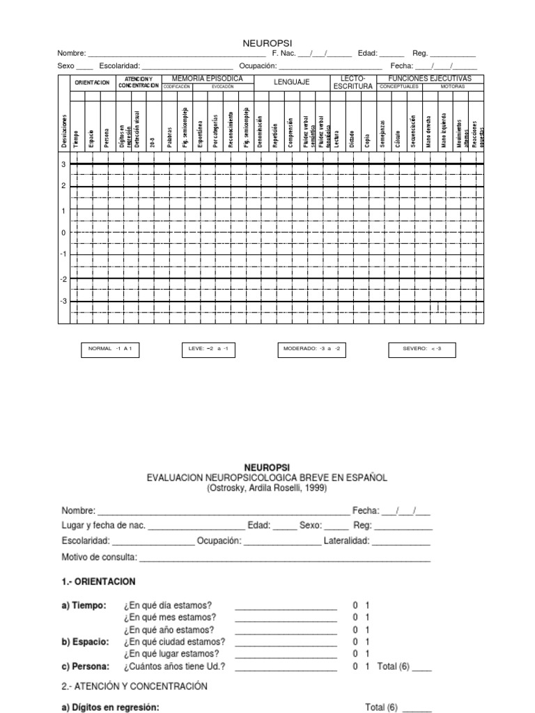 Evaluación Neuropsicológica Breve NEUROPSI | PDF