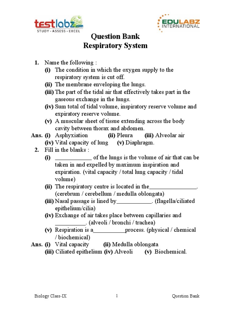 Question Bank Respiratory System | Download Free PDF | Respiratory ...