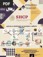 Estructura Organica Basica de La SHCP | PDF