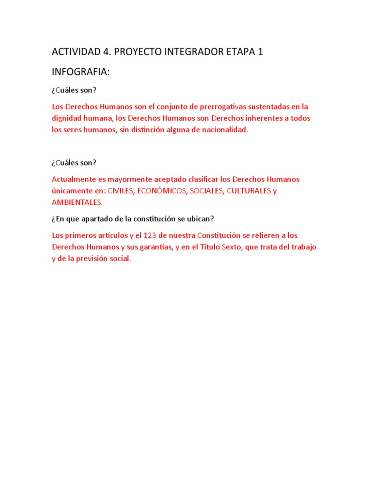 Derechos Humanos Act. 4 Proyecto Integrador 1 INFOGRAFIA | PDF
