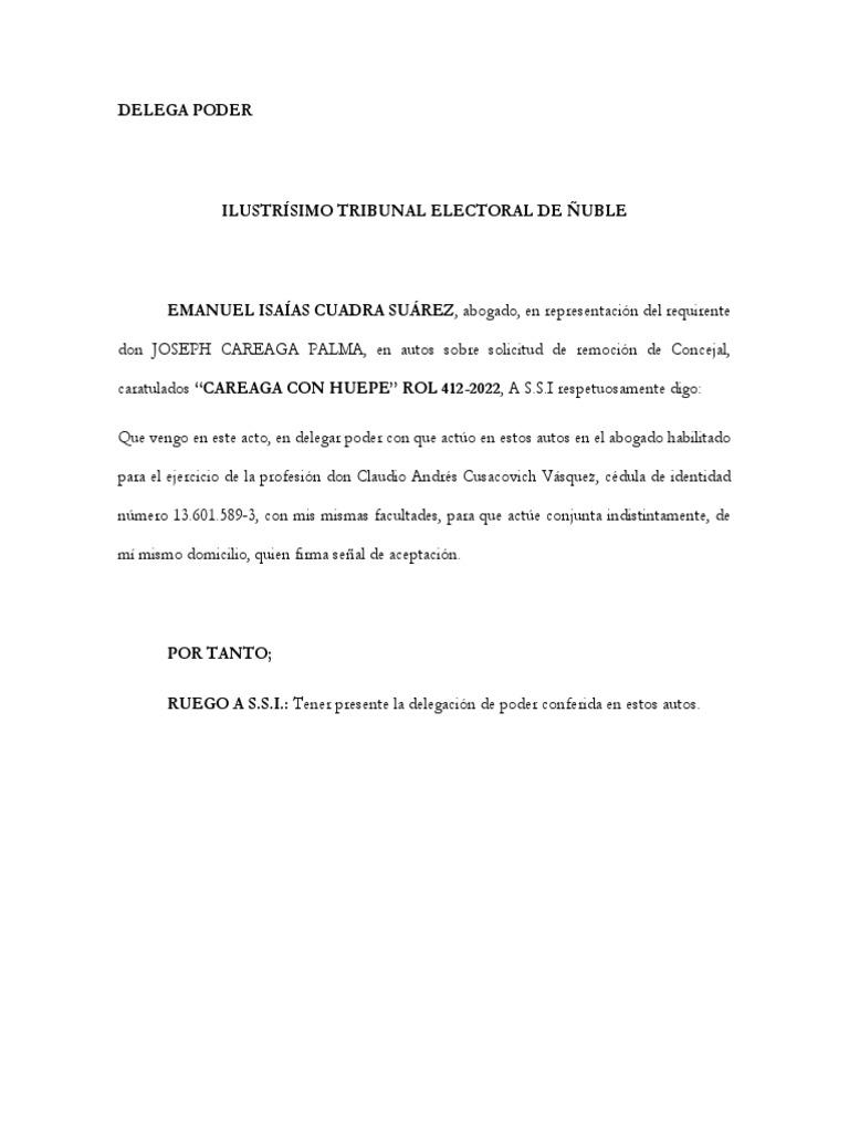 Delega Poder Ter Ñuble PDF | PDF