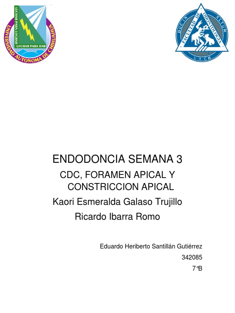 CDC y Foramen Apical en Endodoncia | PDF