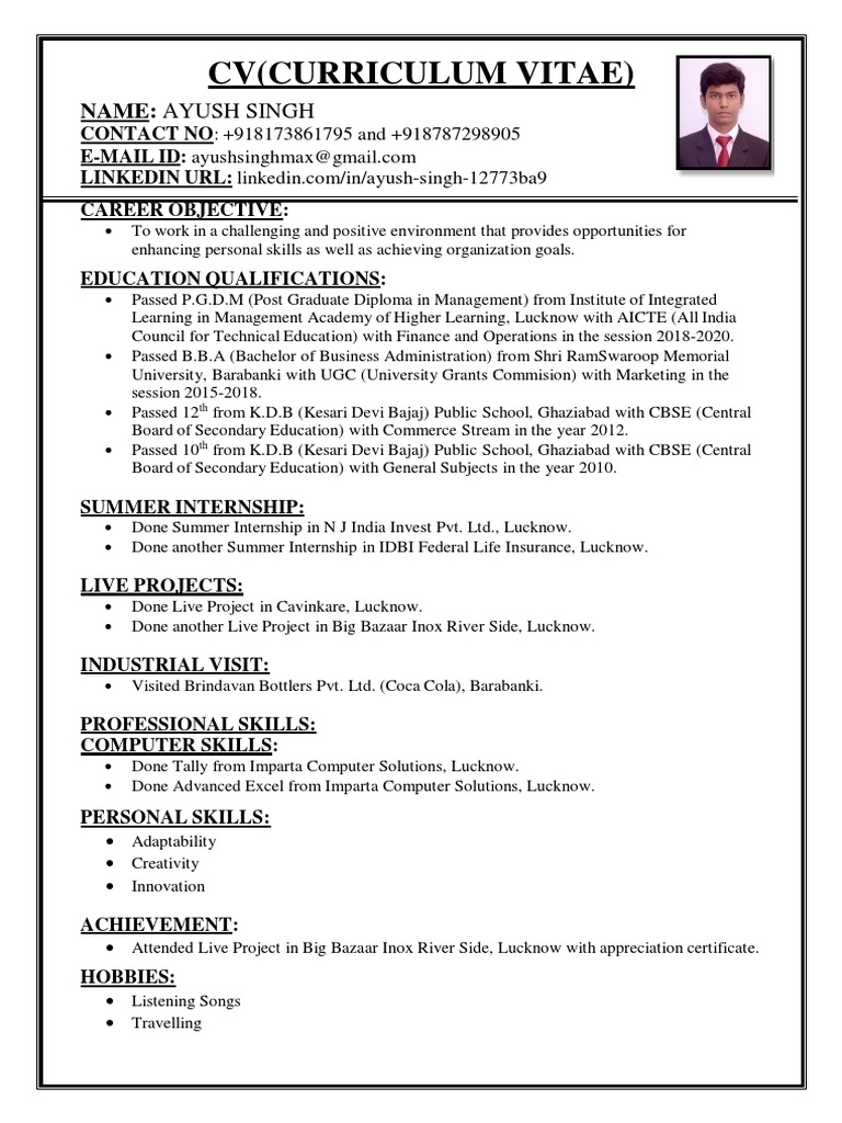 Ayush Singh's Professional CV | PDF