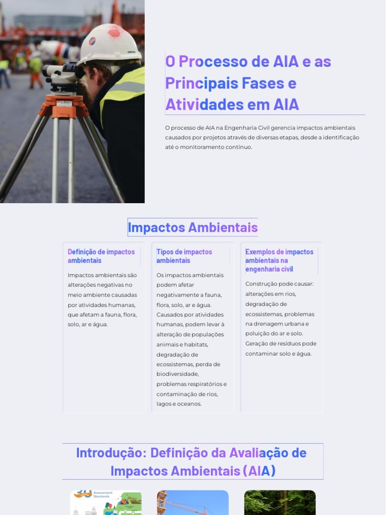 O Processo de AIA e As Principais Fases e Atividades em AIA Na Engenharia Civil | PDF