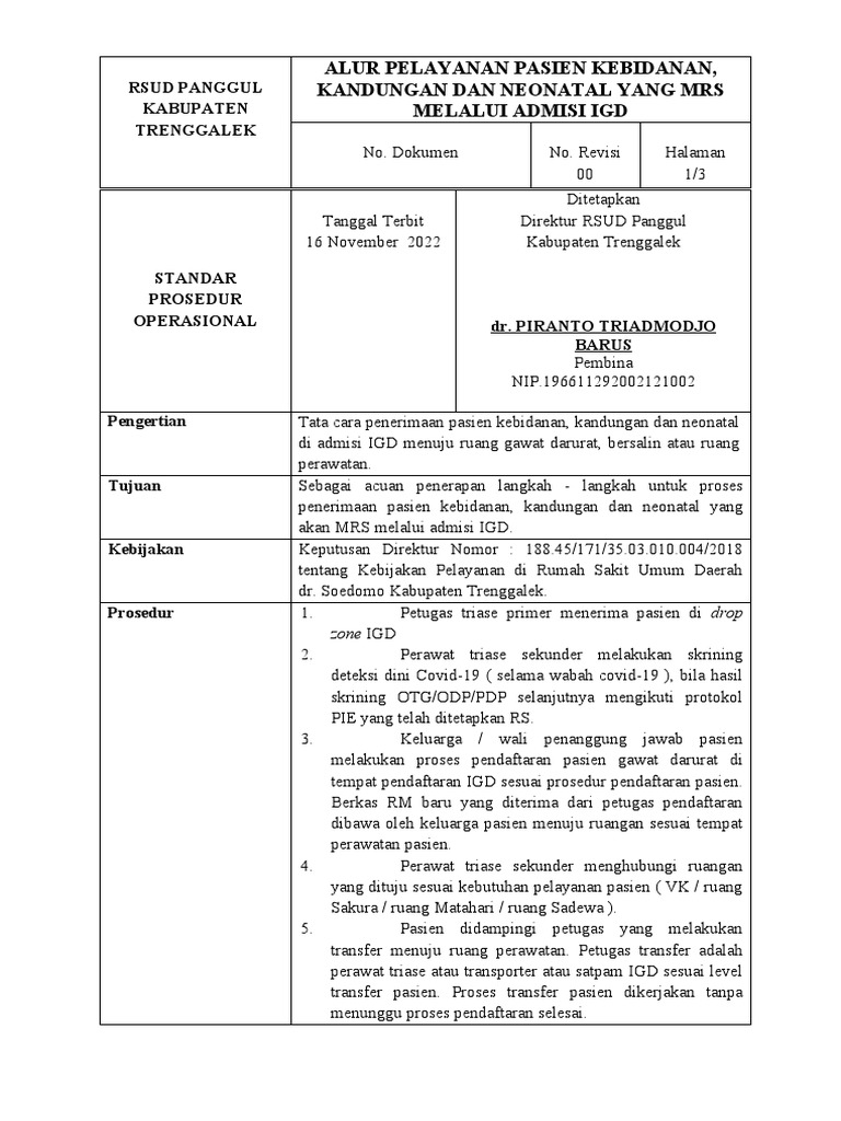 Spo Alur Pelayanan Pasien Ponek Melalui Admisi Igd | PDF