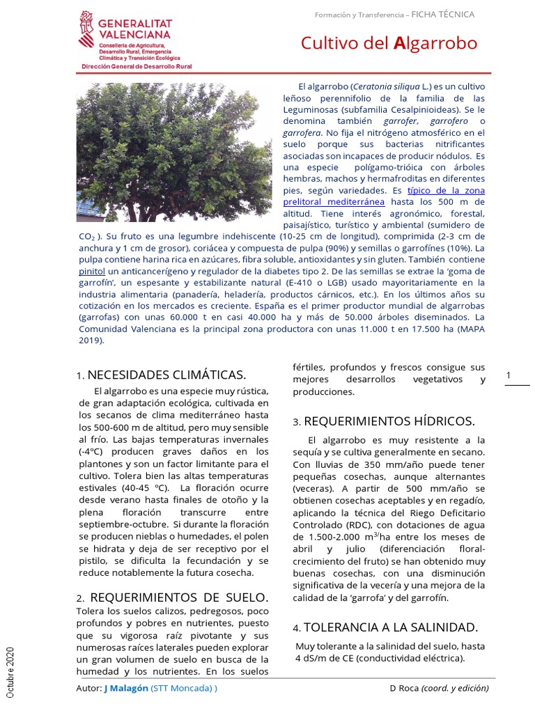 CULTIVO Del ALGARROBO..Ficha Técnica PDF | Descargar gratis PDF | Agricultura | Botánica