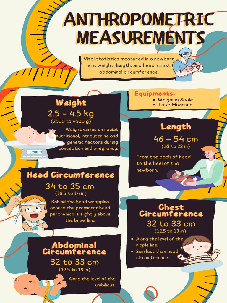Anthropometric Measurements 1 | PDF