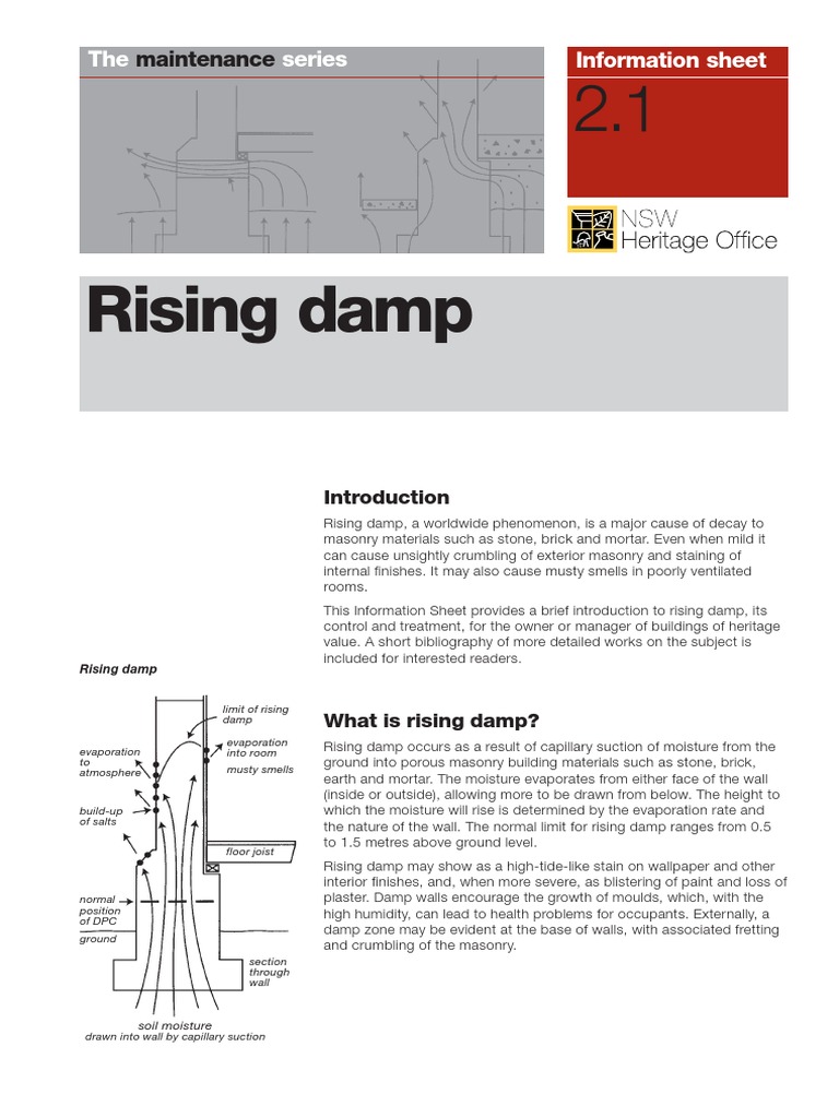 Rising Damp Information Sheet PDF | PDF