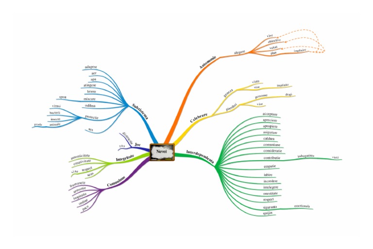 Nevoi Umane Marshall PDF | PDF