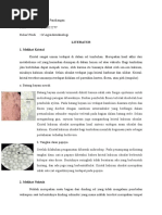 Empulur Ubi Kayu | PDF