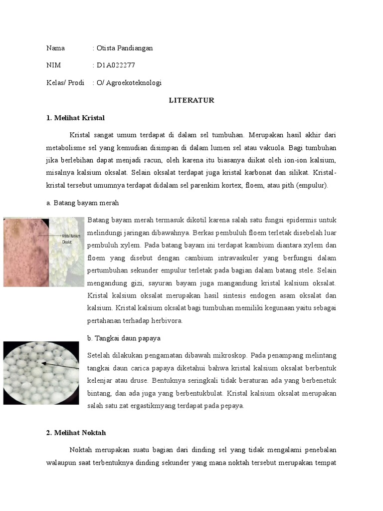 Struktur dan Fungsi Noktah Tumbuhan | PDF