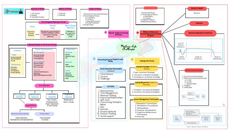 Mindmap Ch 3 Meeting Life Challenges | PDF