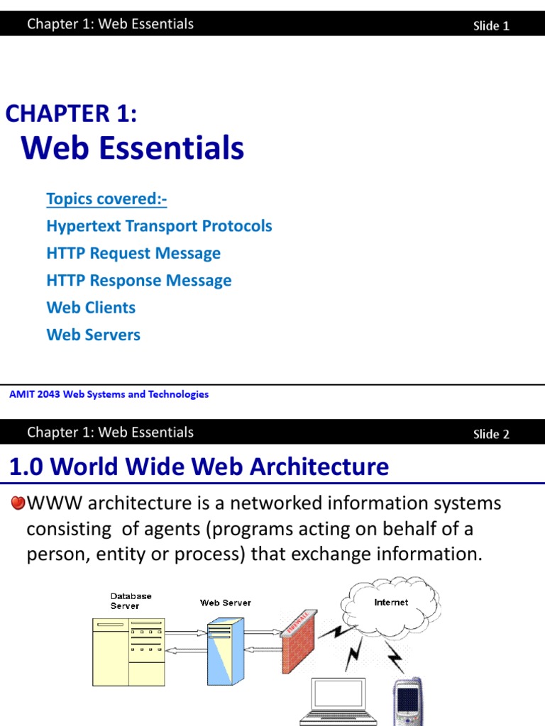Chapter 1 Web Essentials PDF | PDF