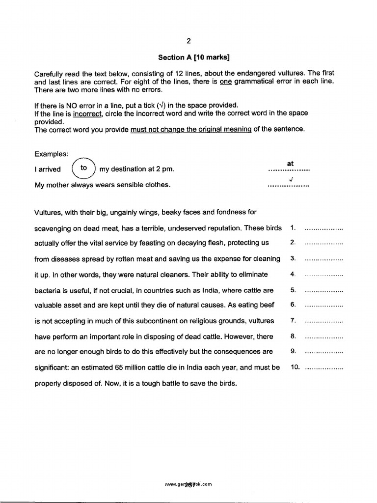 Secondary 3 - English - SA1 - 2019 - 1 | PDF