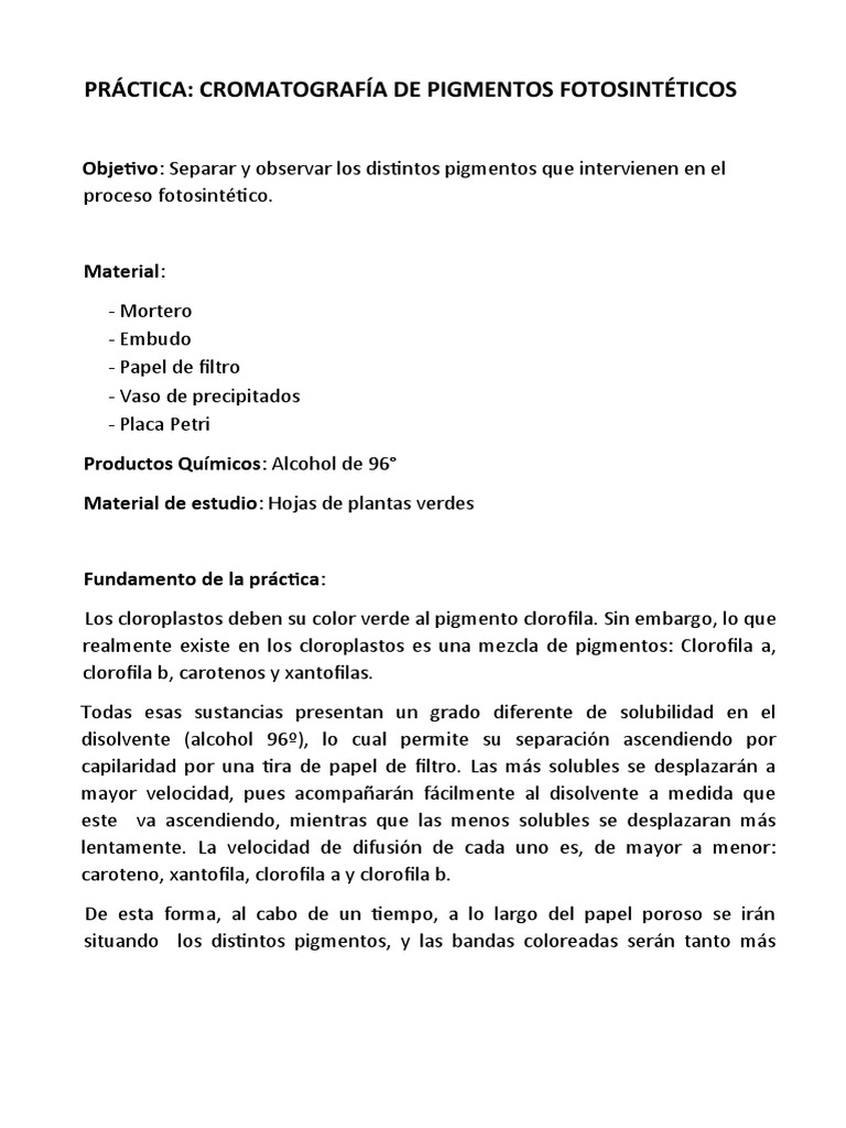 Cromatografía Pigmentos Fotosintéticos | PDF