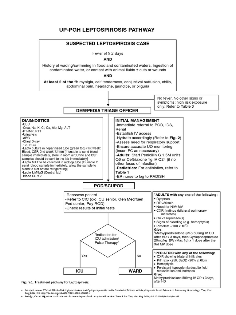 Leptospirosis Pathway JULY 2018FINAL | PDF