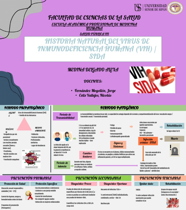 Historia natural del VIH/SIDA: Etapas de la infección, manifestaciones ...