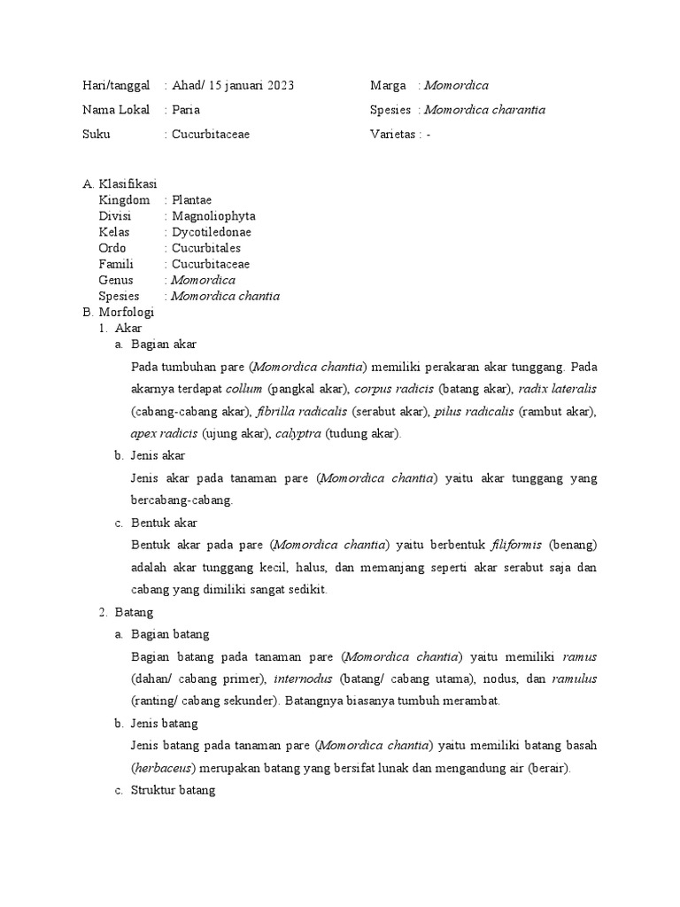Pare | PDF