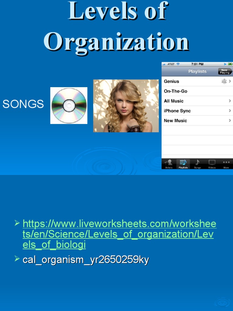 Levels of Organization Powerpoint | PDF