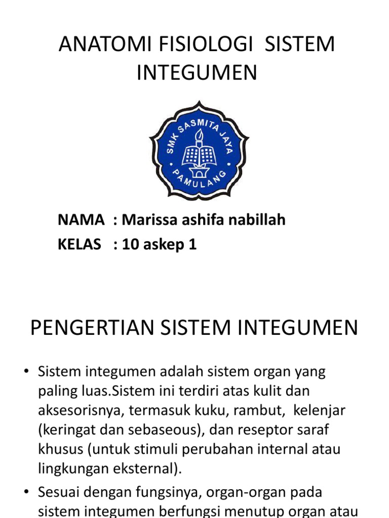Anatomi Fisiologi Sistem Integumen | PDF