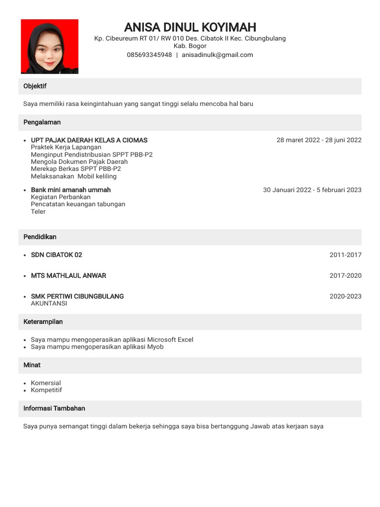 CV Anisa DK PDF | PDF