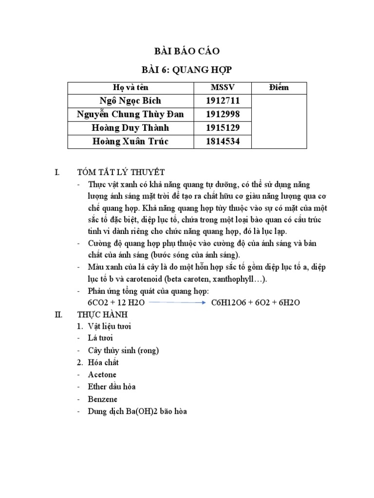 Bài Báo Cáo | PDF