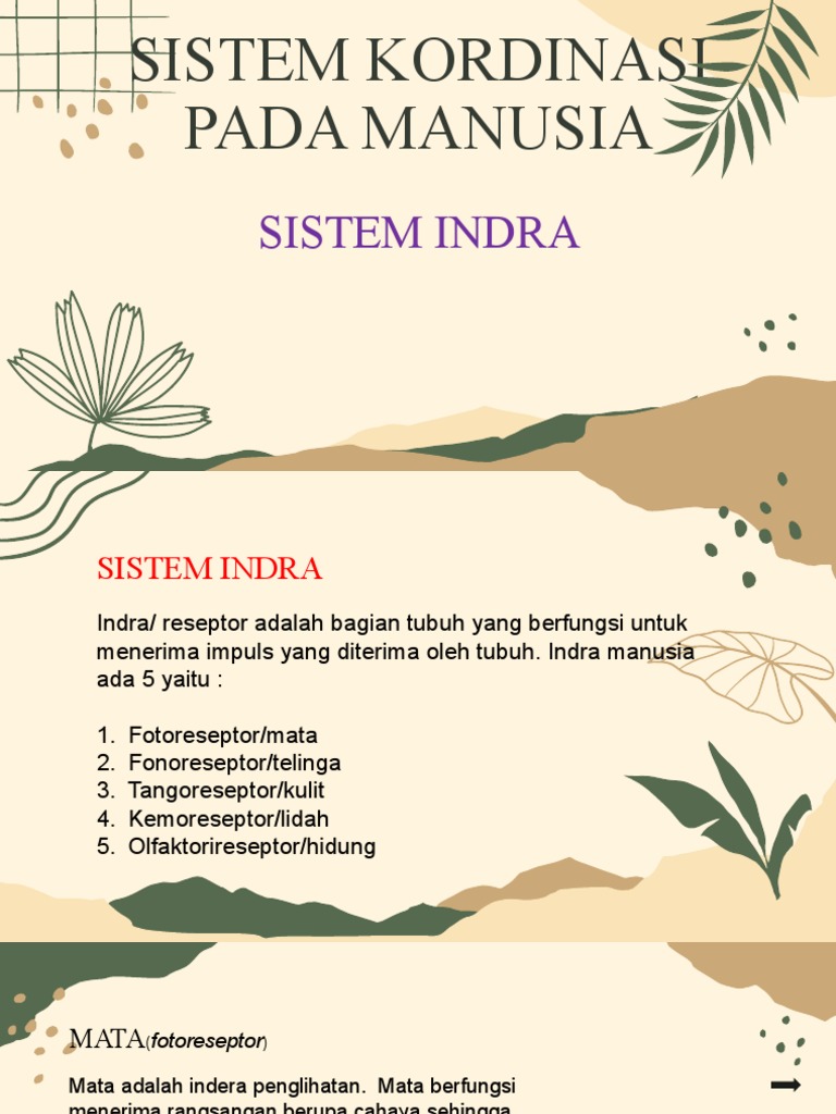 Sistem Indra | PDF