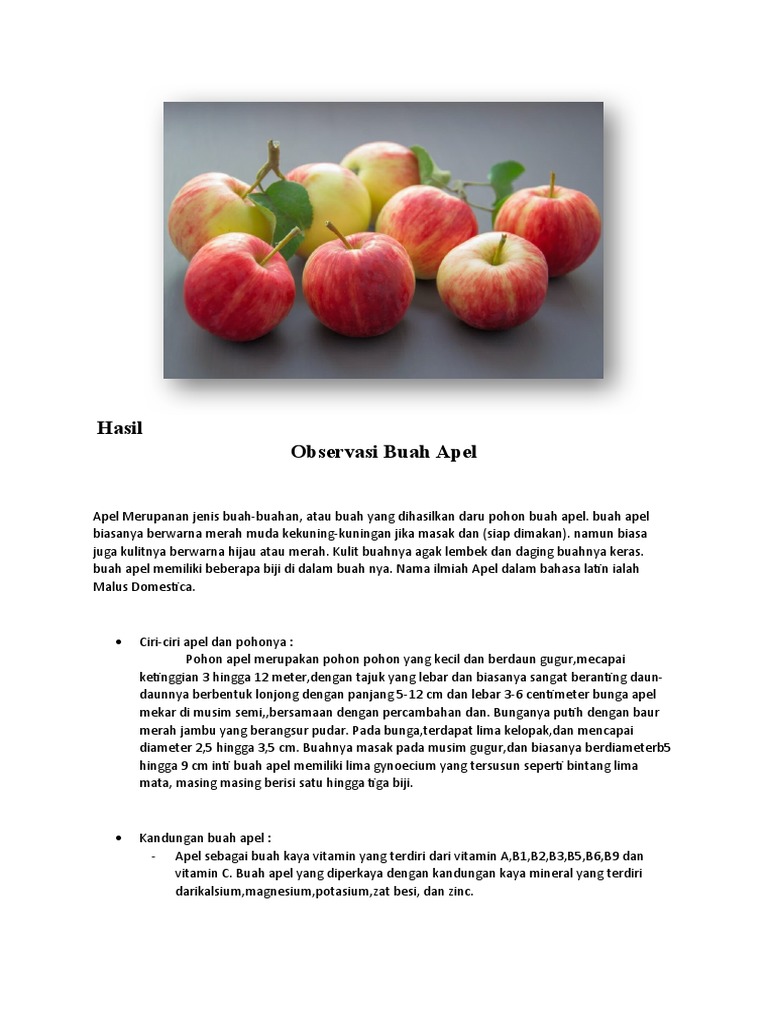 Hasil Observasi Buah Apel | PDF