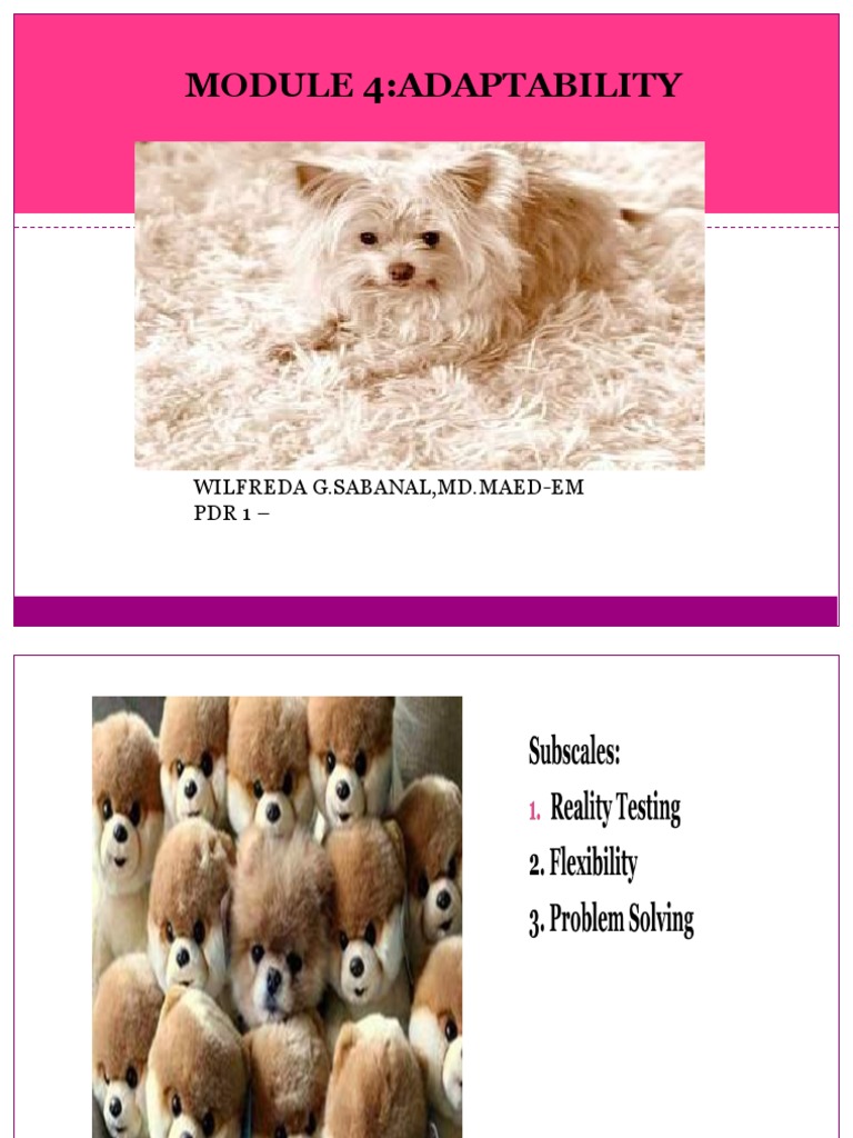 PDR 1 Module 4 Adaptability PDF | PDF