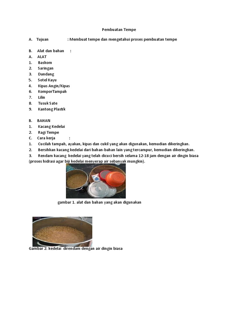 Pembuatan Tempe | PDF