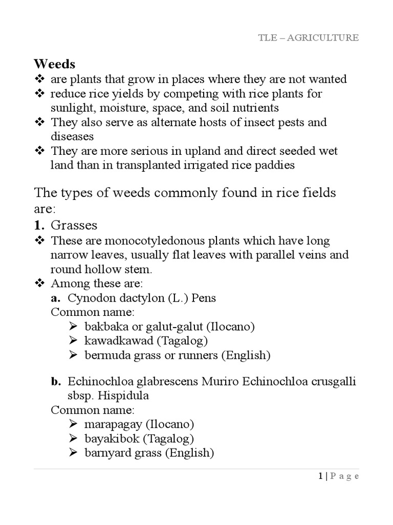 TLE (Notes) | PDF | Herbicide | Pest (Organism)