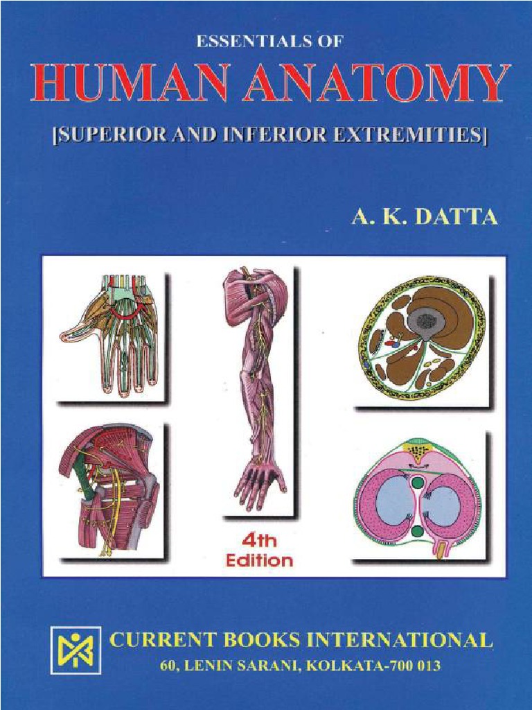 Essentials of Human Anatomy Superior Inferior Extremities Vol 3 PDF | PDF