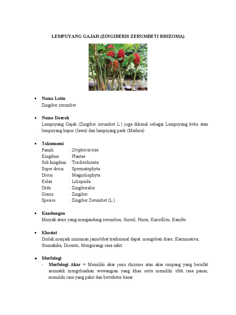 Lempuyang Gajah | PDF