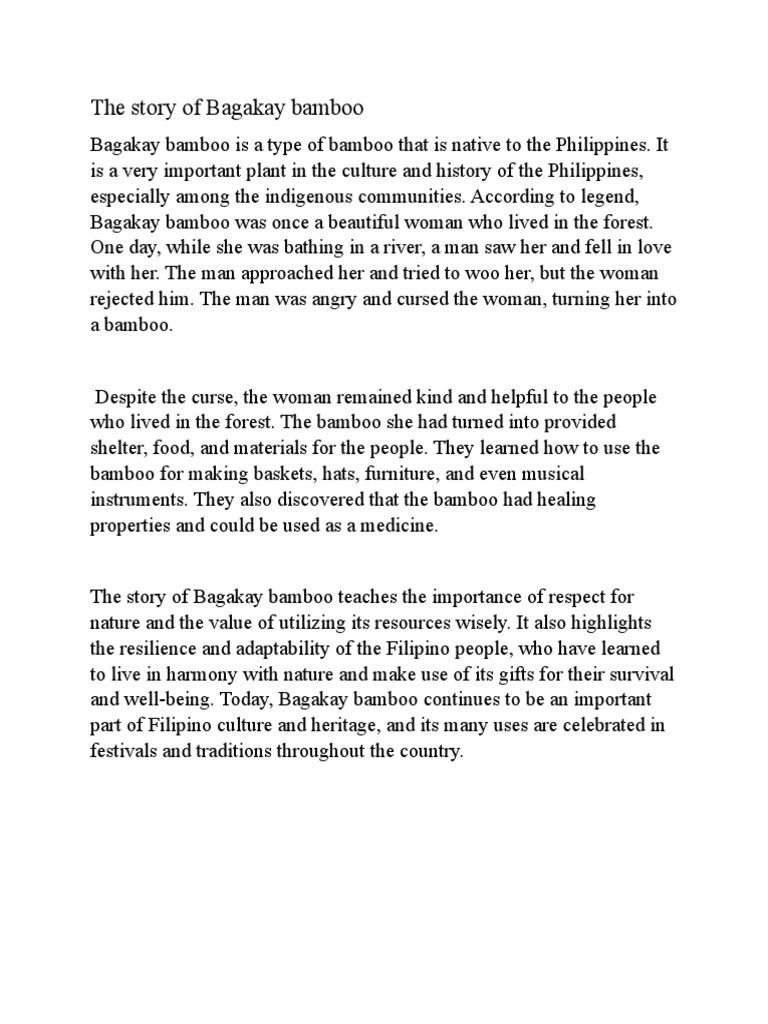 The Story of Bagakay Bamboo | PDF