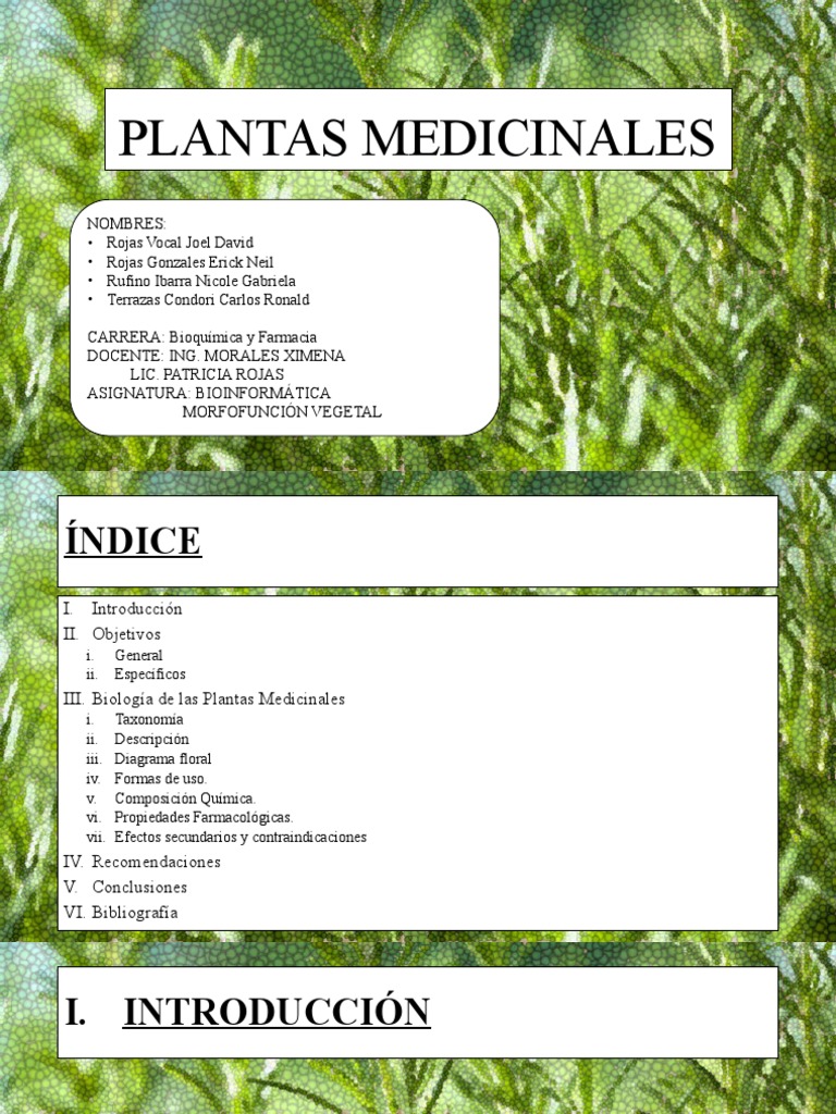 Plantas Medicinales Pdf
