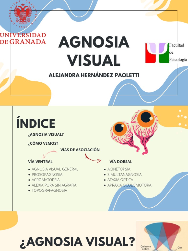 Agnosia Visual PYA PDF | PDF | Percepción visual | Corteza visual
