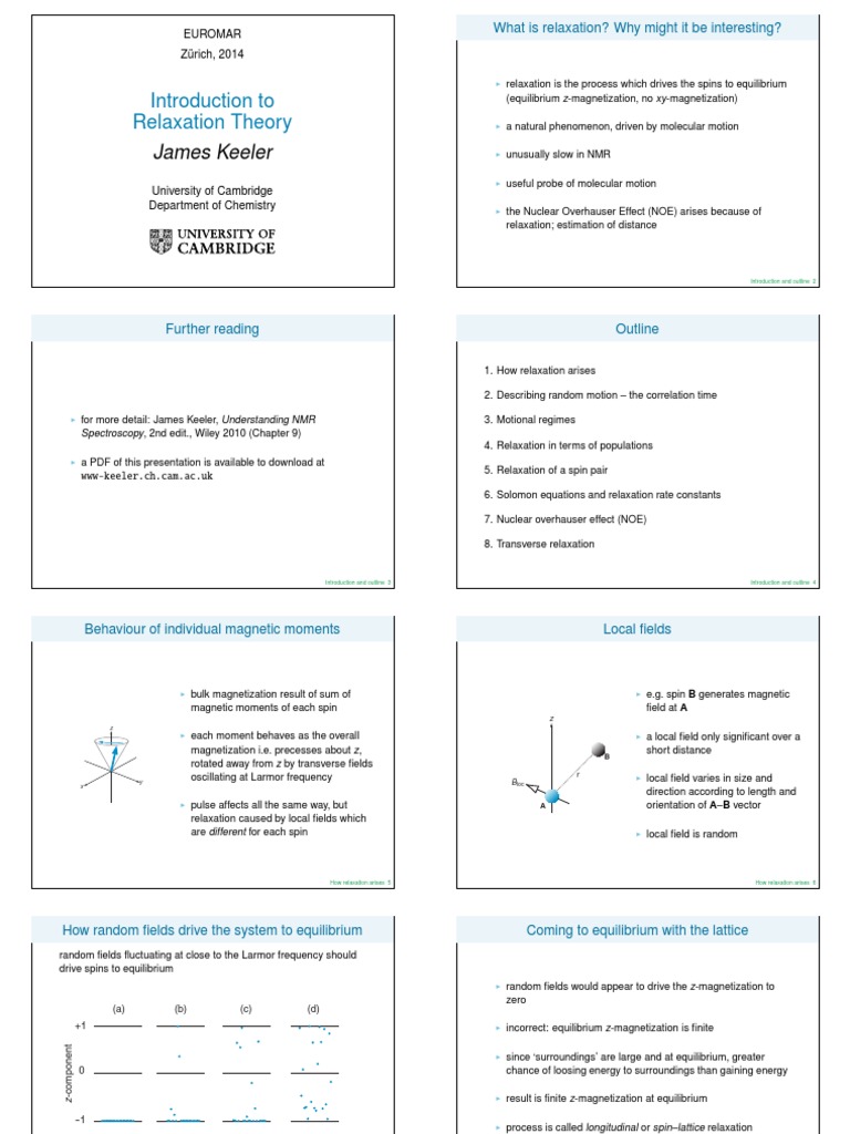 Introduction To Relaxation Theory PDF | PDF | Relaxation (Nmr ...