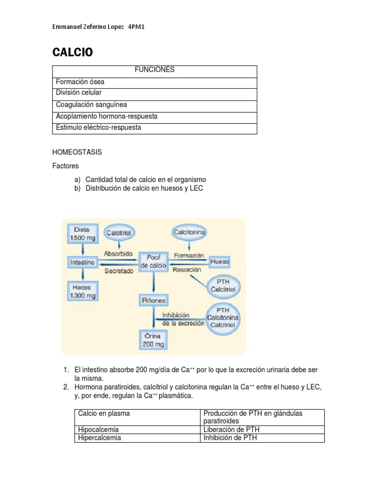Calcio, Fosfato y Magnesio PDF | PDF | Calcio | Homeostasis