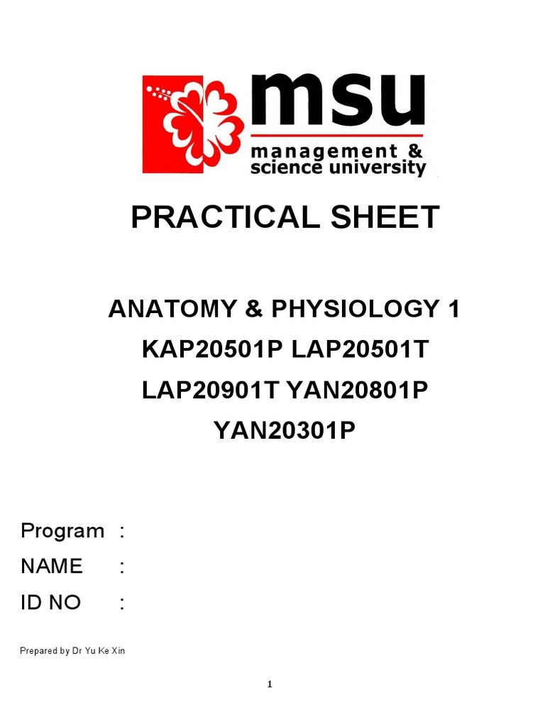 Lab Anatomy and Physiology 1 - BBM BFS BNT BHS BCT PDF | PDF Lab Anatomy and Physiology 1 - BBM BFS BNT BHS BCT PDF | PDF