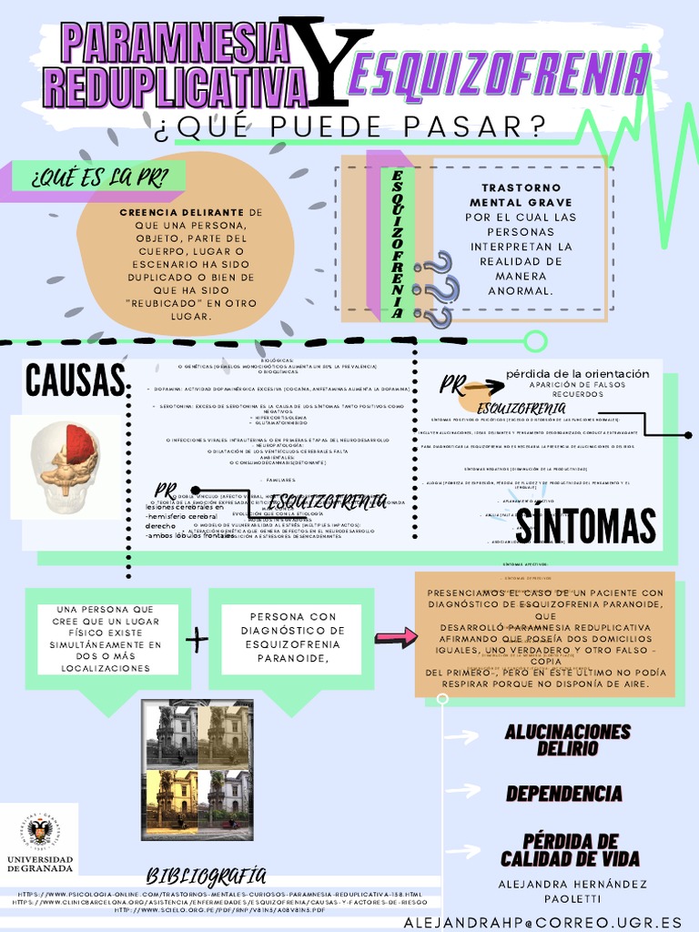 Paramnesia Reduplicativa PDF | PDF