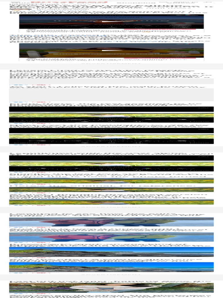 We Tested The Viral TikTok Iphone Photo Editing Hack | PDF