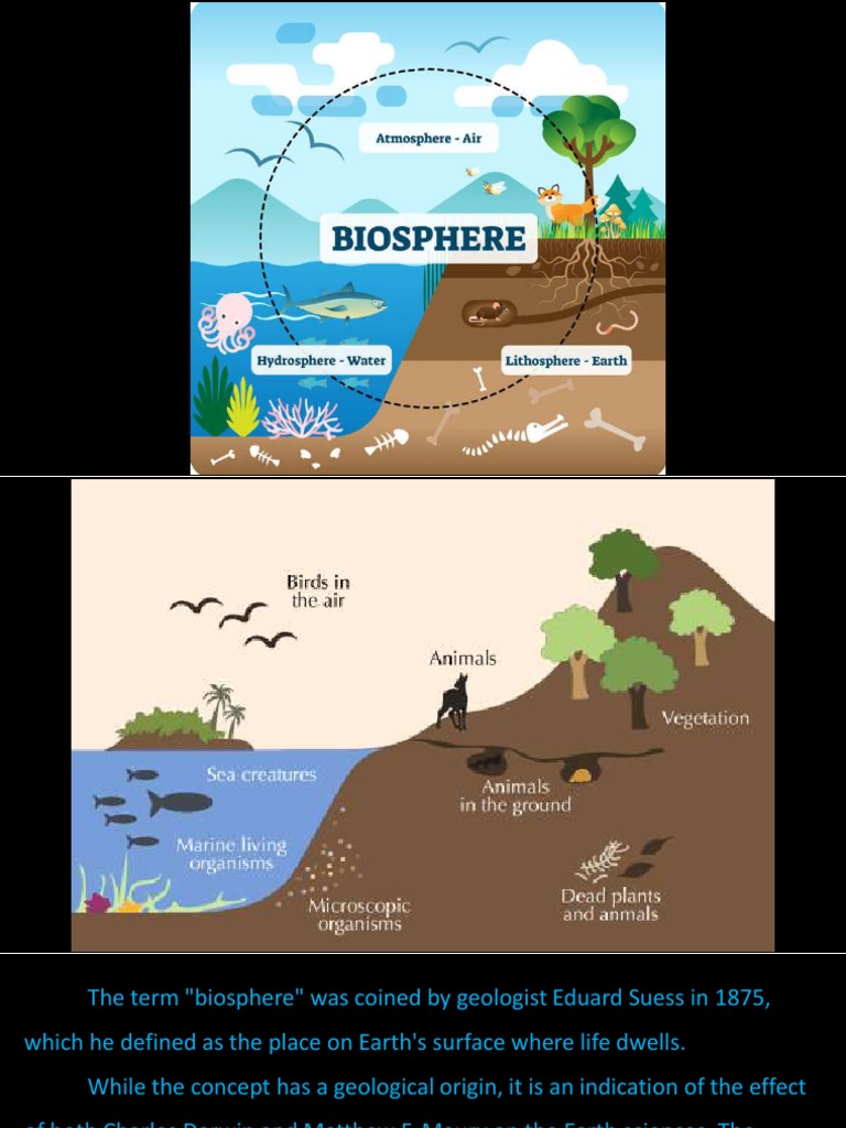 Biosphere PDF | PDF