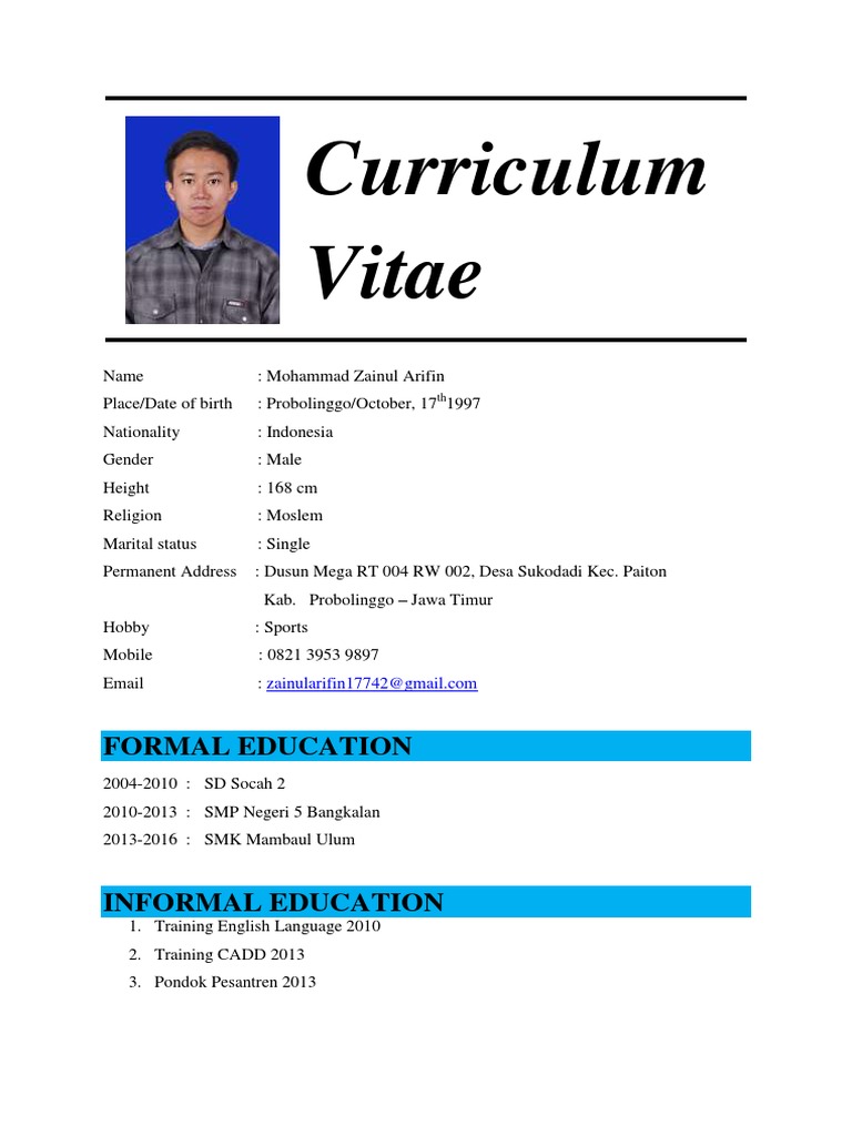 Curriculum Vitae Aji PDF | PDF